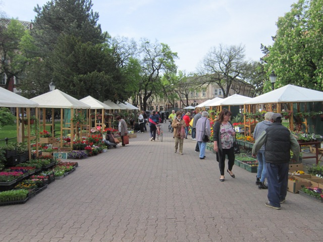 Sajam cveća u centru grada | GradSubotica